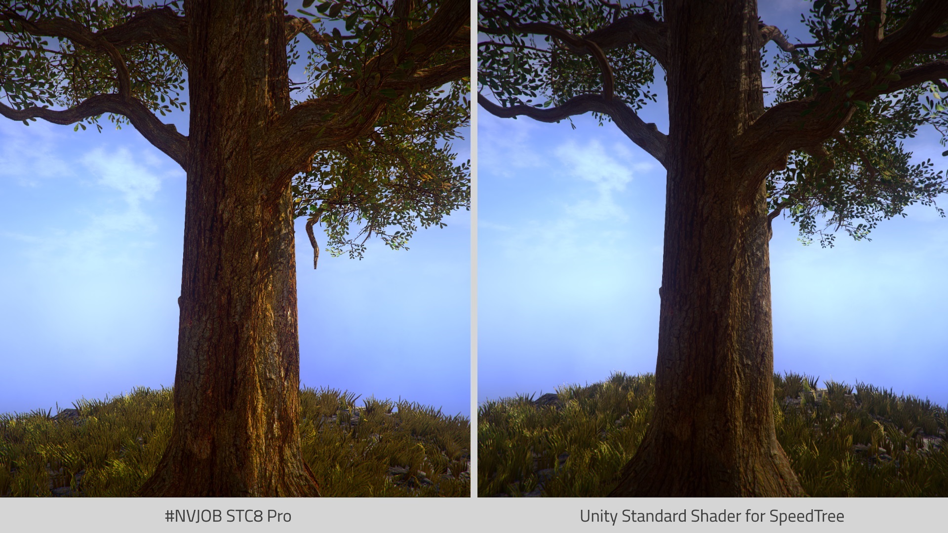 Stc8 Pro Advanced Shader For Unity Speedtree 8 Unity Asset Nicholas 8159